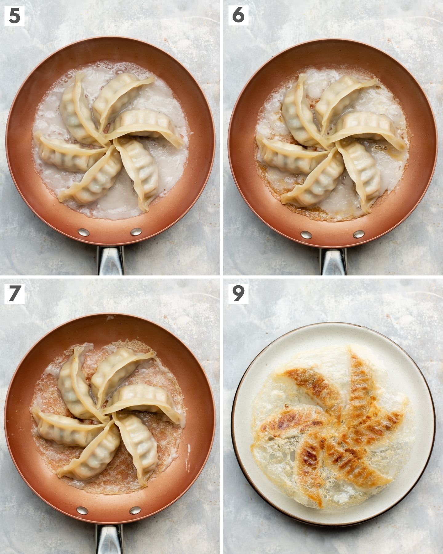 Crispy Gyoza with Wings (Hanetsuki Gyoza) 羽根つき餃子 - Okonomi Kitchen