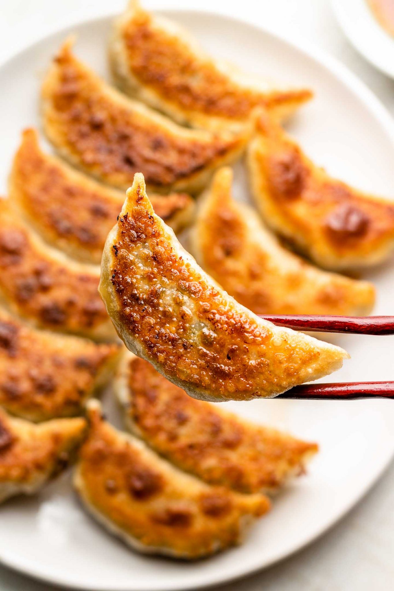 Vegetable Gyoza (Vegan) - Okonomi Kitchen