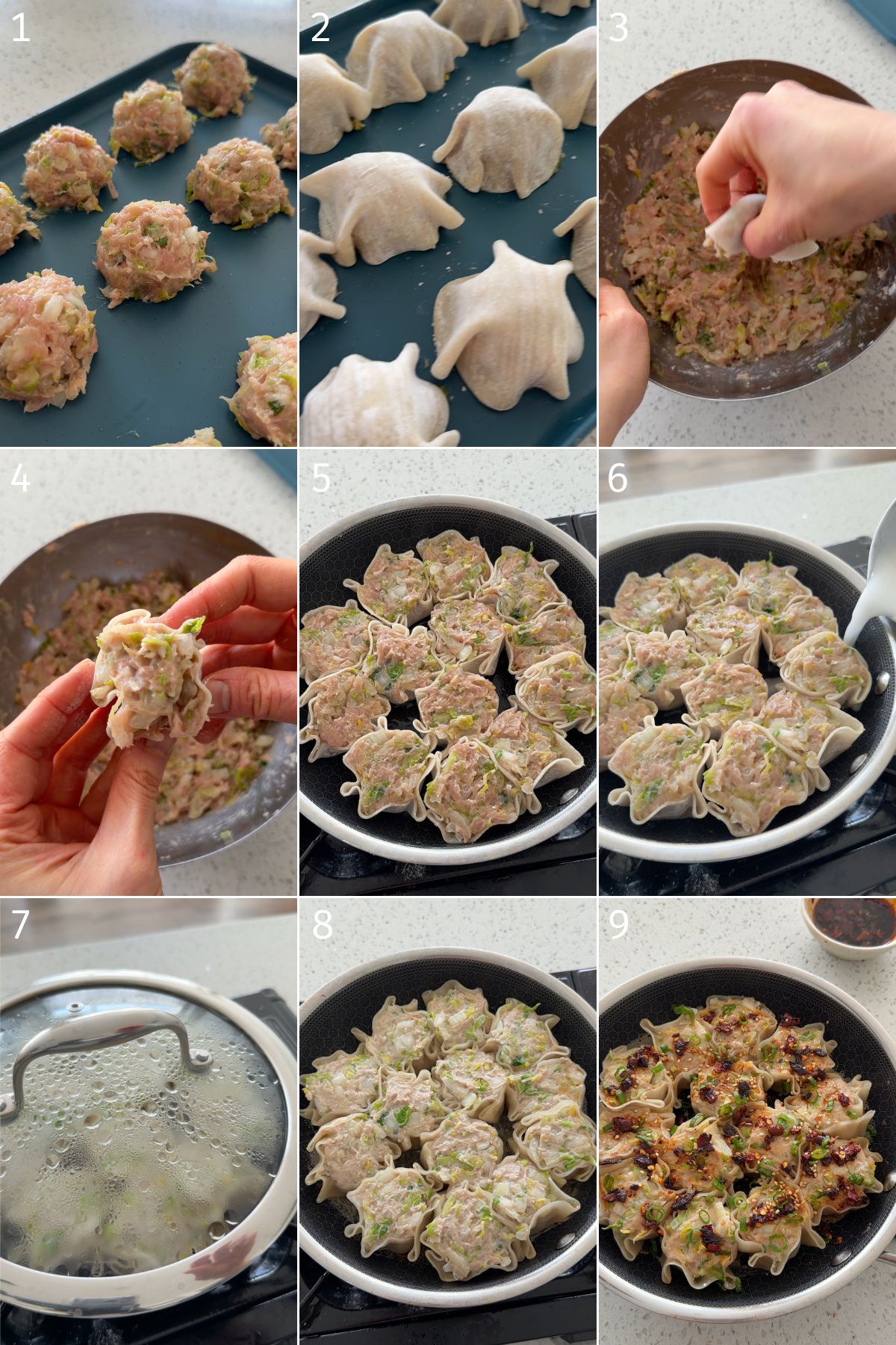 Crispy No-Fold Dumplings - Okonomi Kitchen